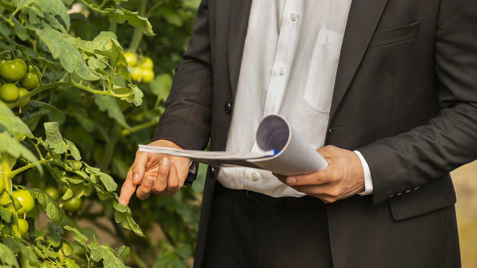 Certificazioni >> O.P. Natura Dauna